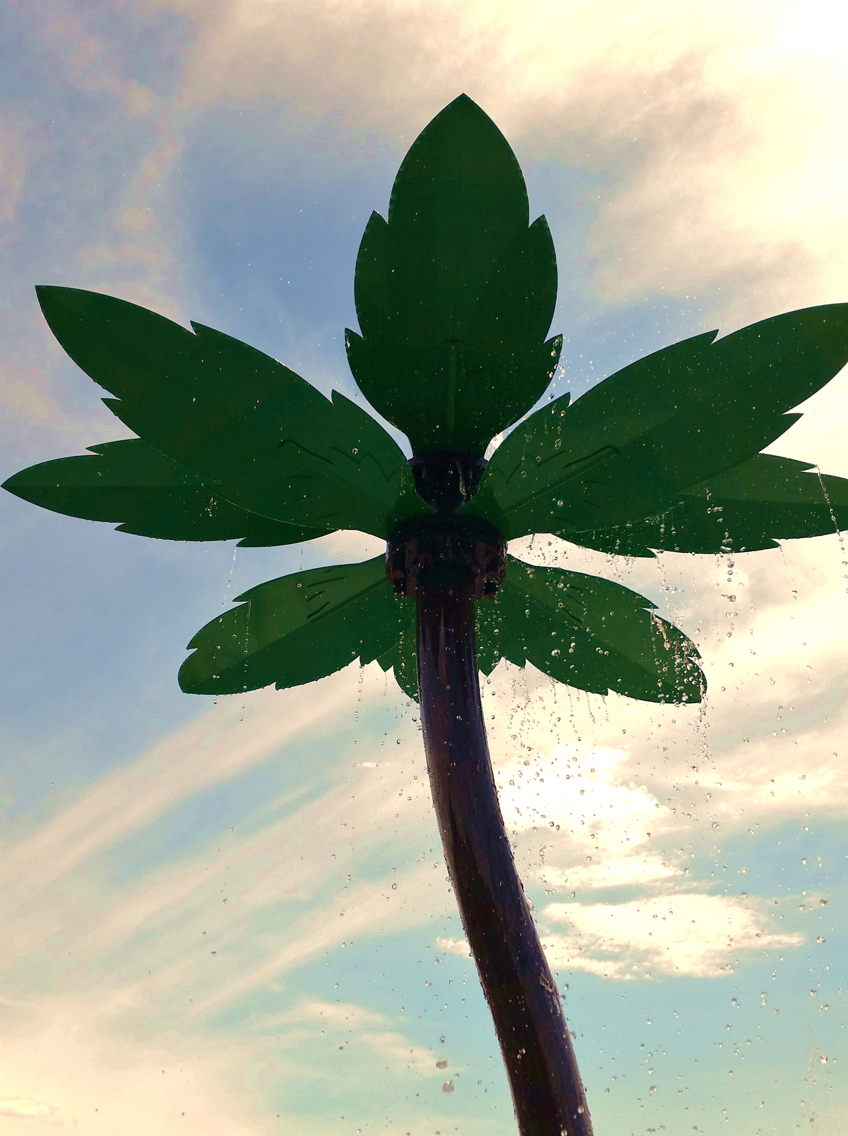 Wavy Palm Tree Splash Pad Feature by Rain Deck
